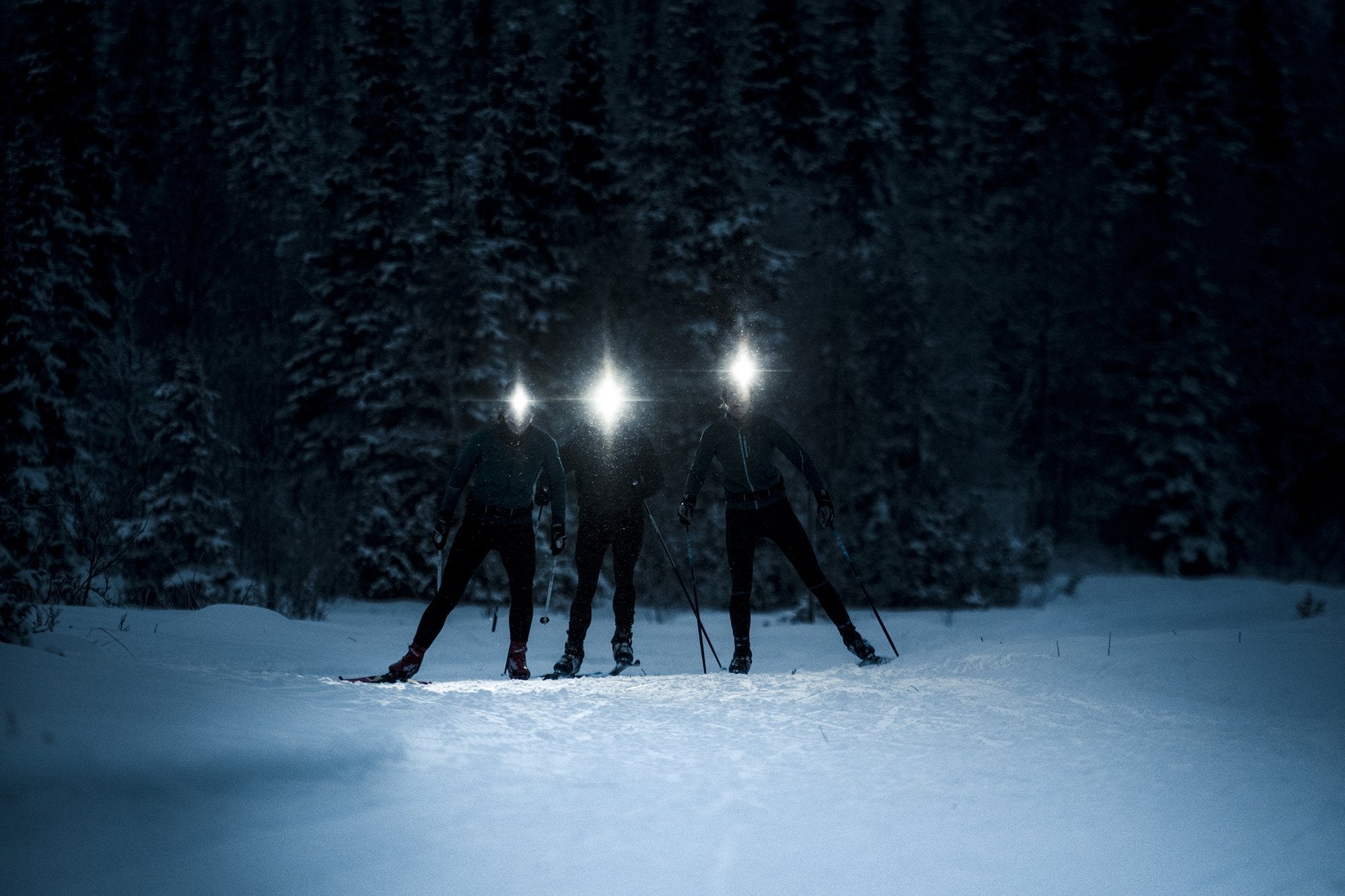 Norwegian XC-Skiing Team - Silva Athletes since 2013 - Silva Sweden